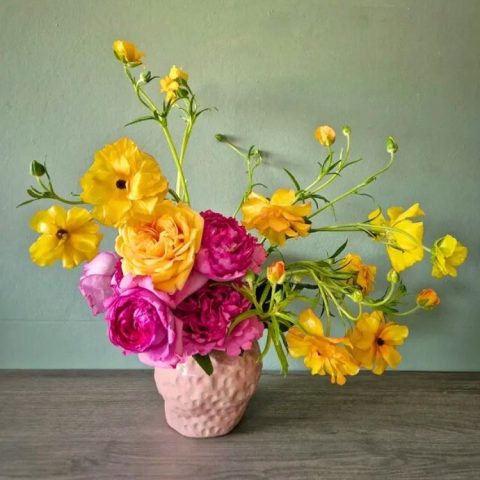 Highland Pottery Fair | 4th & 5th October 2025